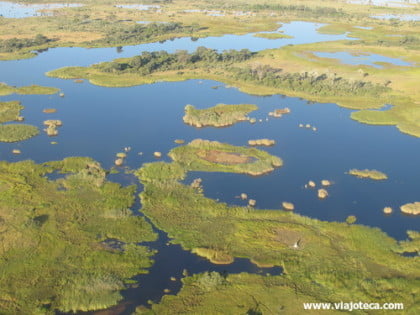 Delta do Okavango, em Botsuana: o que você vai ver num voo de avião