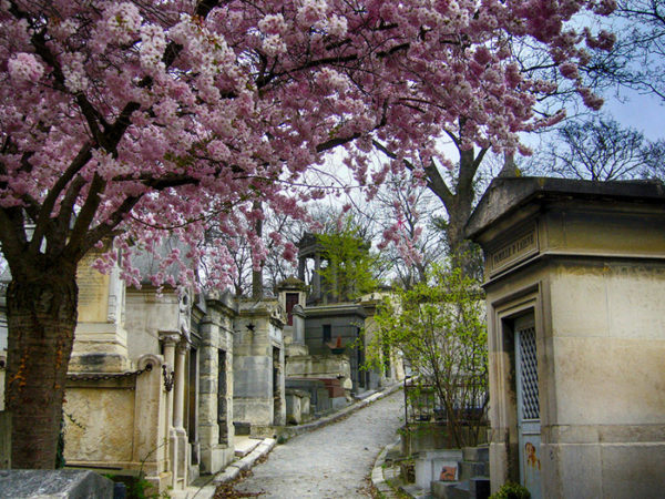 Paris na Primavera: descubra porque Paris é tão encantadora nesta época