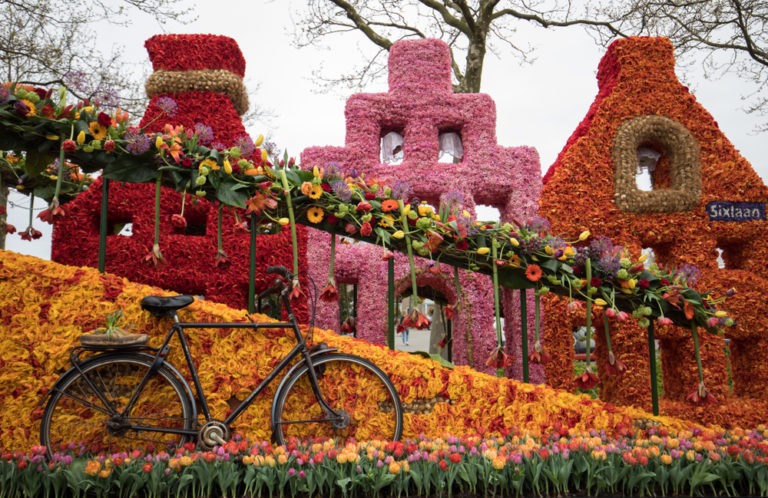 Tulipas na Holanda: onde encontrar os campos para visitar